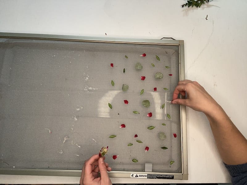 Make the Change: Craft Paper from Junk Mail | Tiny Waste