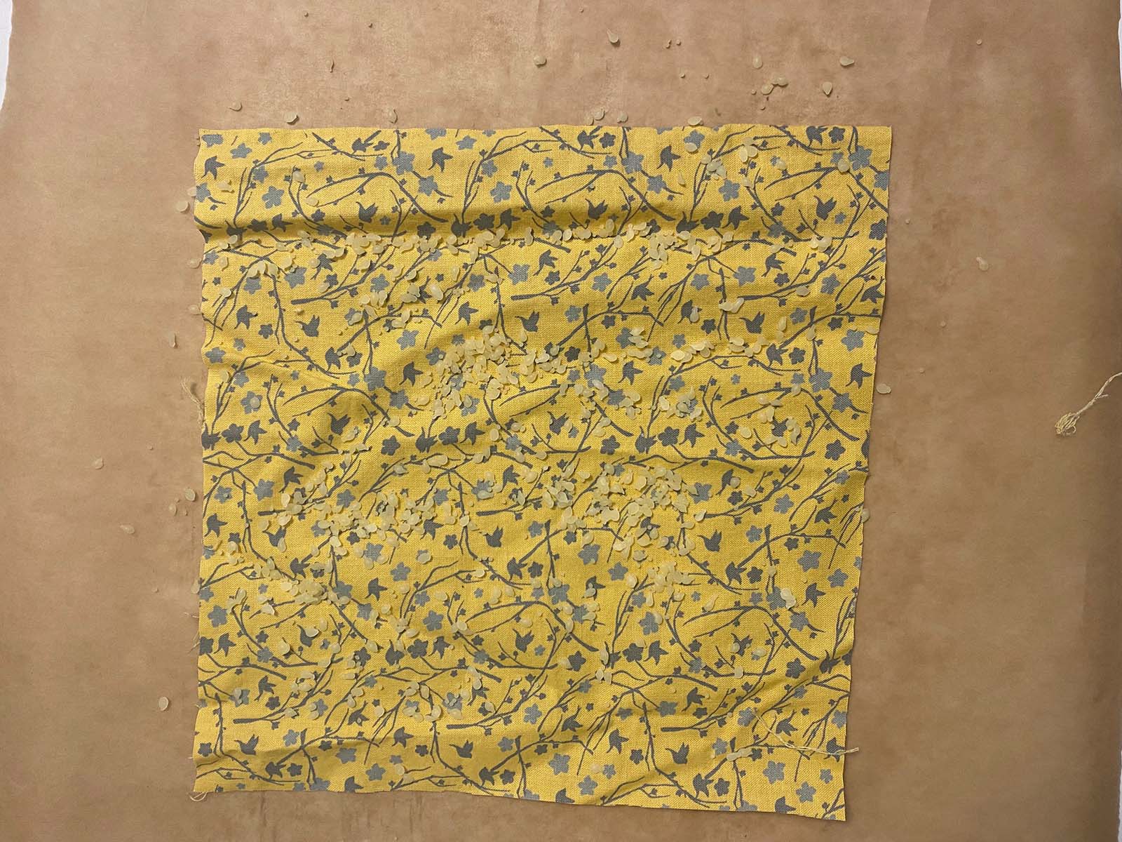 How to Make A Beeswax Wrap | Tiny Waste